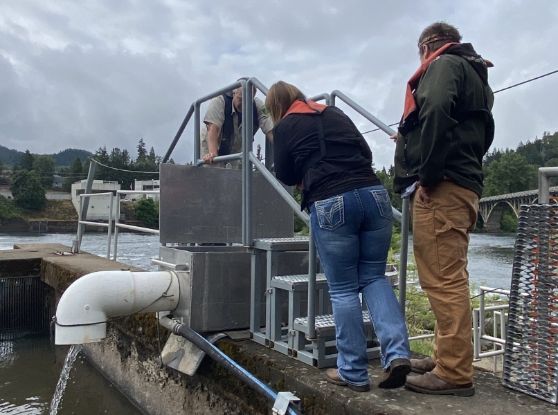 At Winchester Dam, Every Pacific Lamprey Counts - Cow Creek Band of ...